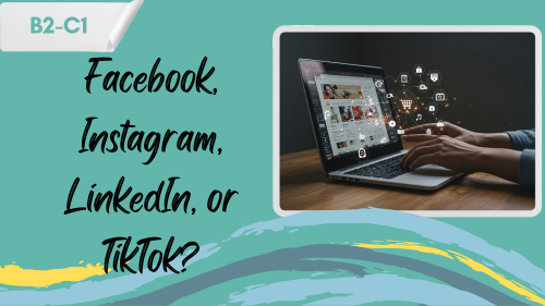 Choosing the right social media platform for your business Lesson Plan ...